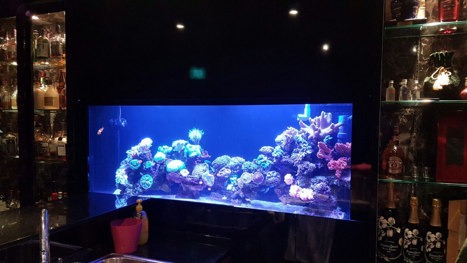 Fish Tank | Buy Marine Fish Tank | Aquarium | Custom Fish Tank